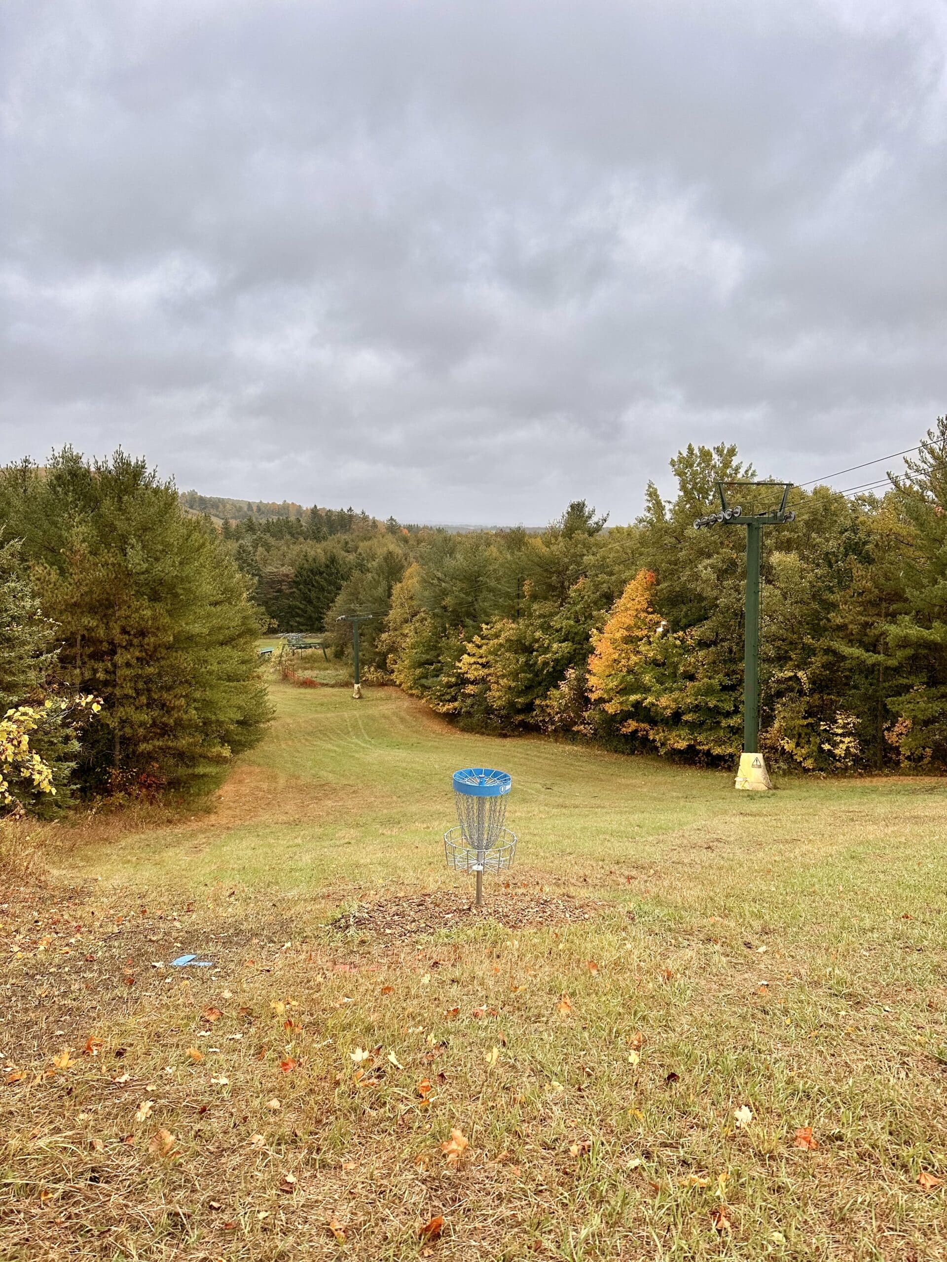 Home - ChainLink Disc Golf