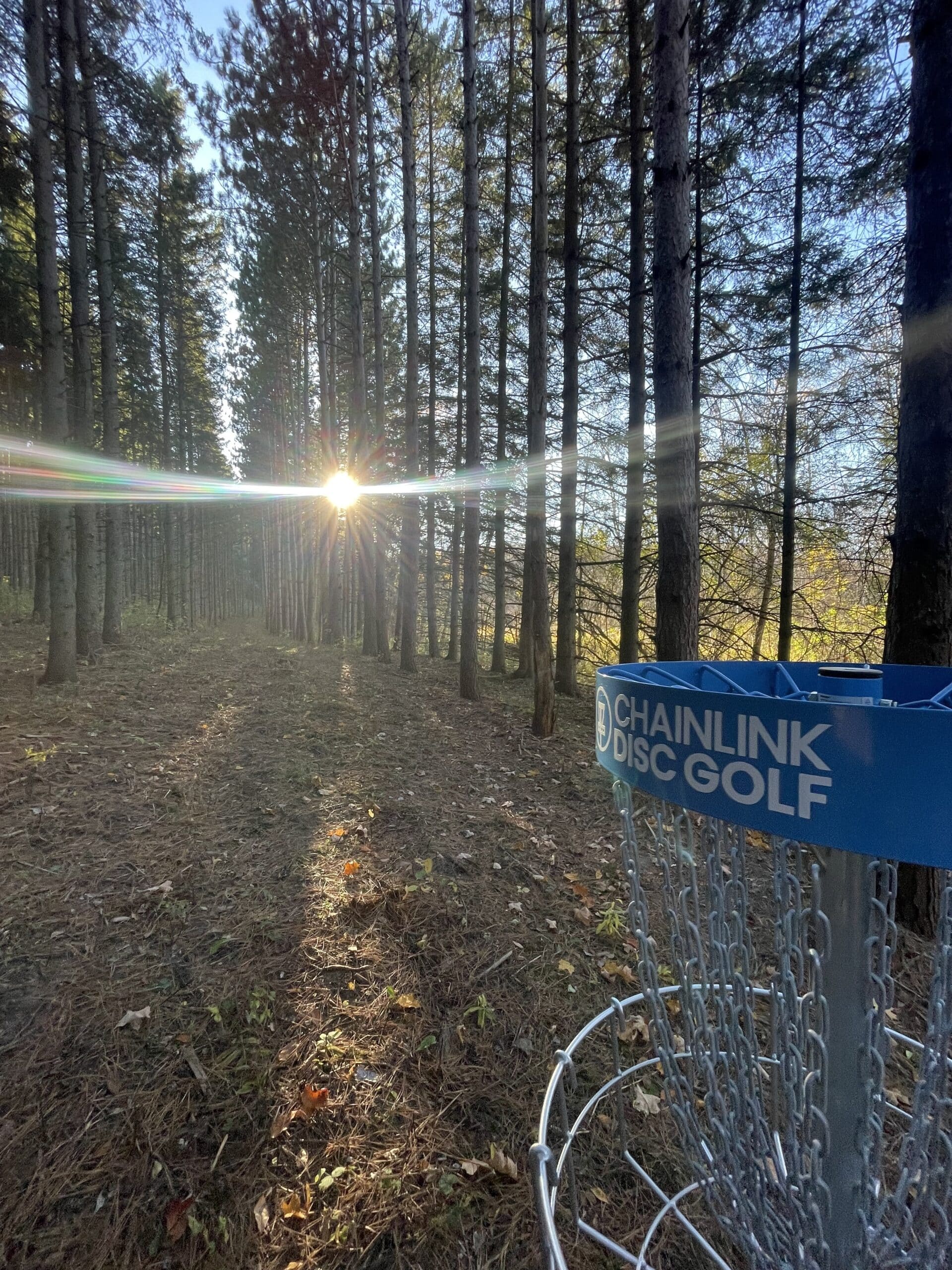 Home - ChainLink Disc Golf